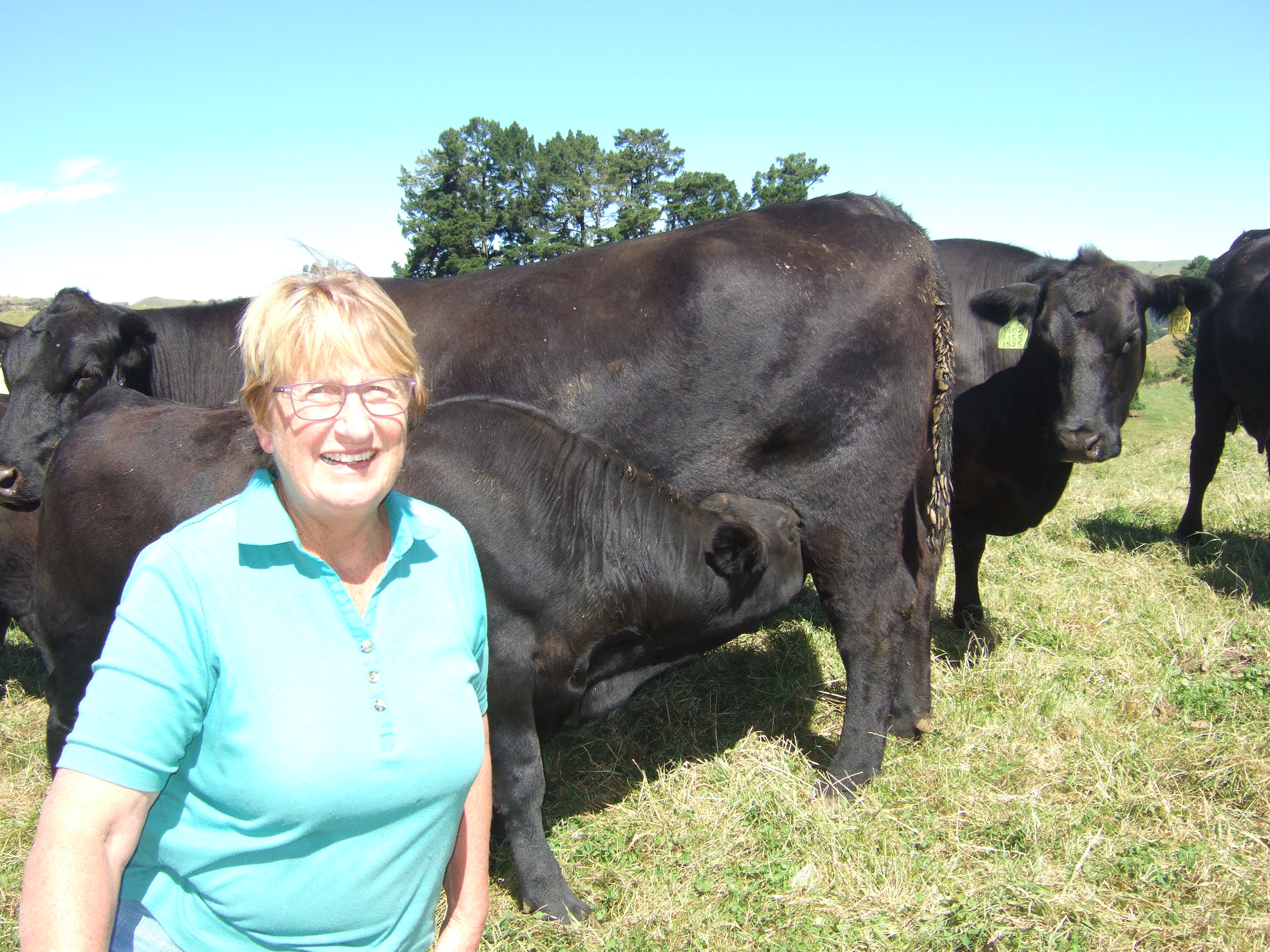 The Importance of Surrounding your Business with the Right Experts ...