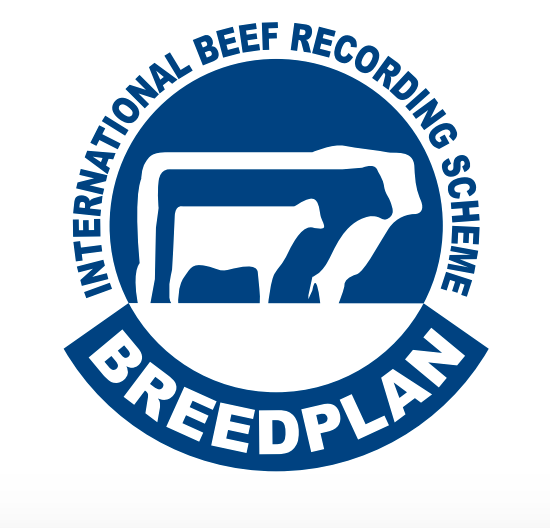 BREEDPLAN Selection Indexes: An Update » PBB - Performance Beef Breeders